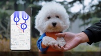 能够永久记录狗狗的行走轨迹的宠物定位器