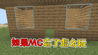 我的世界:令老玩家迷惑的MC行为?奇葩的大门设计!