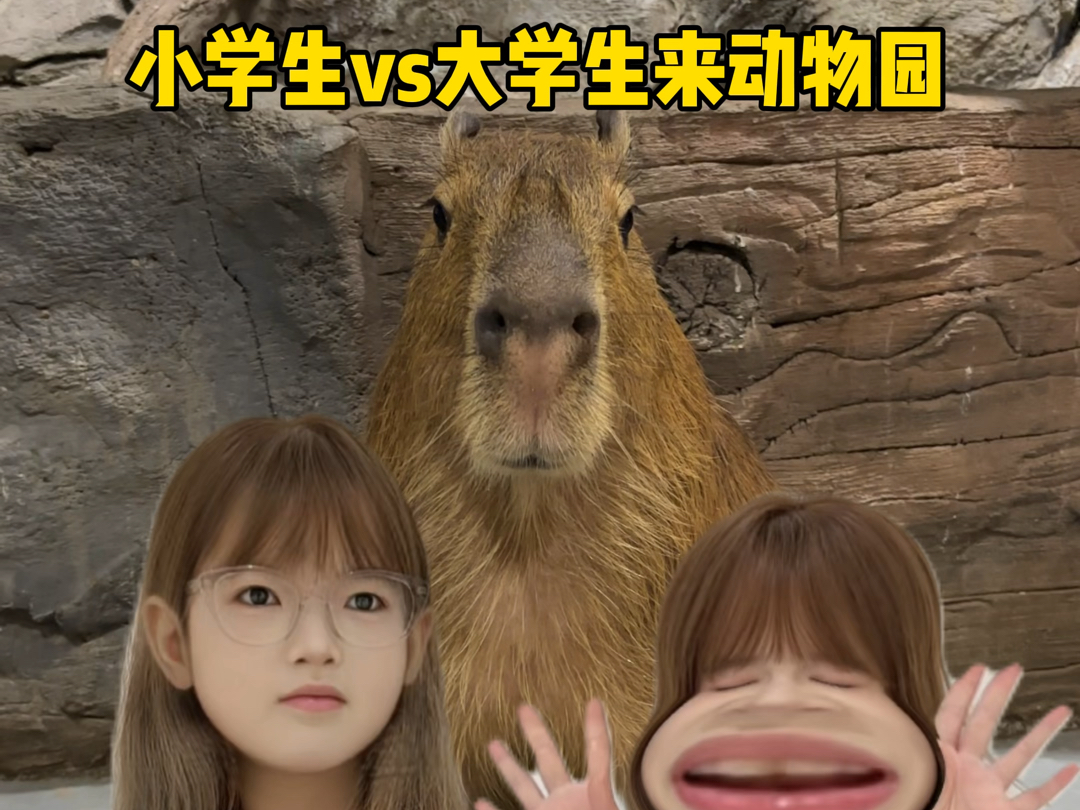 小学生和大学生来动物园的区别