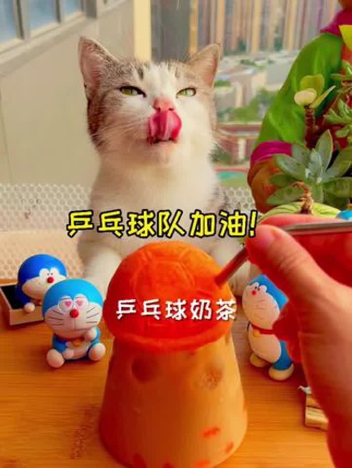 猫咪做了一杯乒乓球奶茶送给奥运健儿,加油!#夺冠2021 #乒乓球 #夏日...