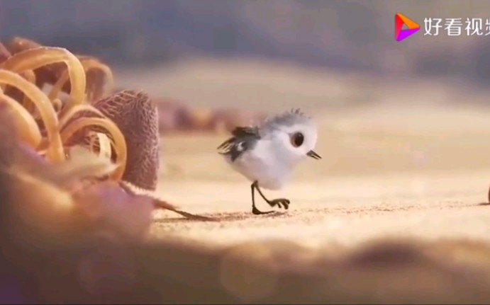 励志动画短片---成长