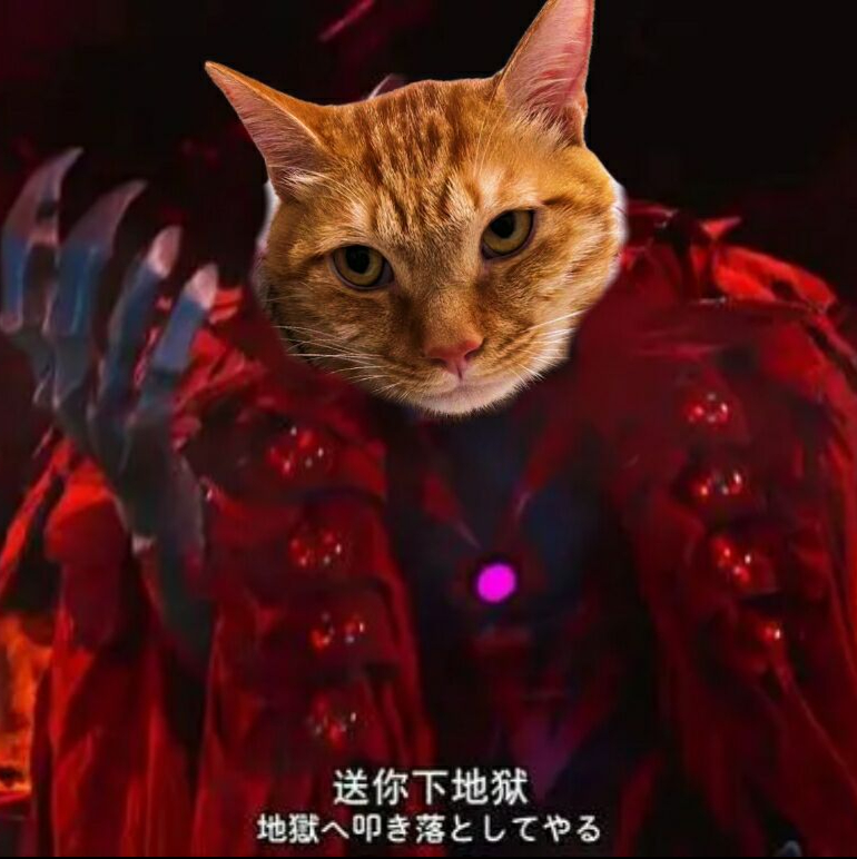 猫狗catdog 