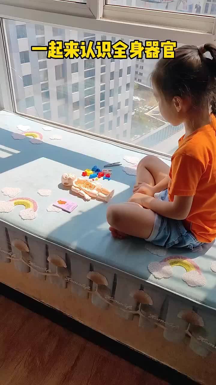 人体模型启蒙百科玩具,教会孩子认识各种器官及作用