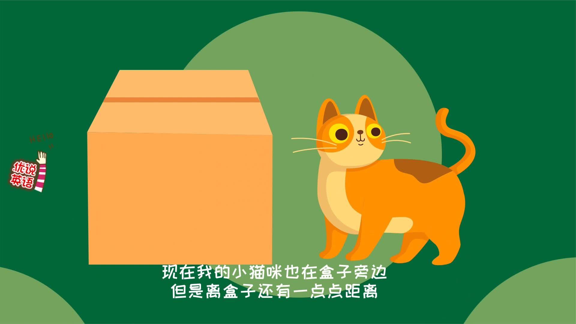 可爱的小猫咪在盒子的什么地方,练习方位介词2