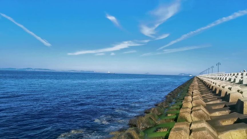 坚定的意志,就是强有力的翅膀✊