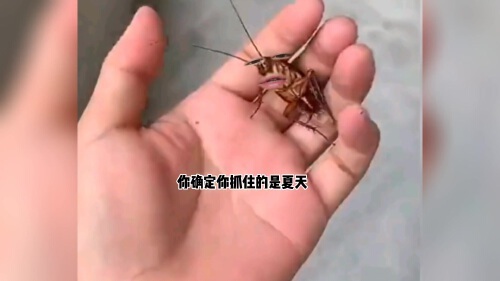 你确定你抓住的不是下水道