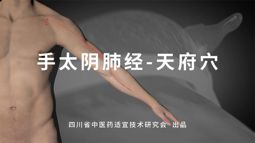 398个穴位,你都知道吗?手太阴肺经-天府穴