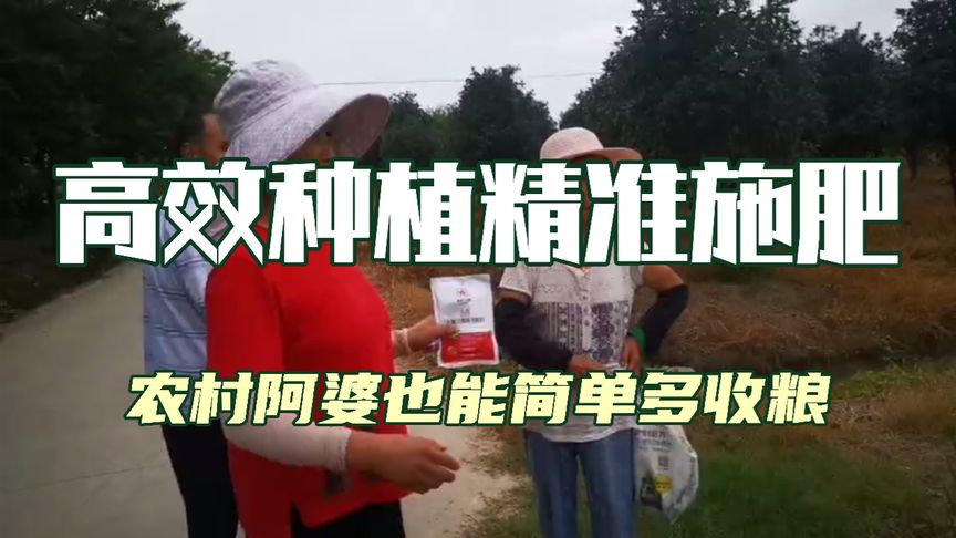 高效管理水稻其实不难