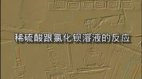 稀硫酸与氯化钡的反应