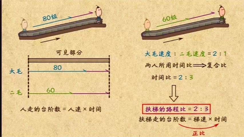 六年级奥数动画视频12-2 复杂行程问题 扶梯问题下