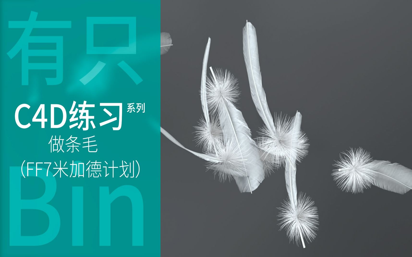 C4D自学记第51期,做条毛(Arnold渲染器)