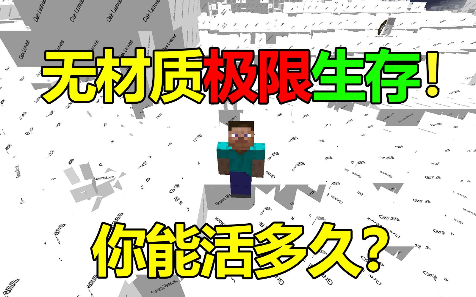 我的世界:没有材质的生存!你能活多久?