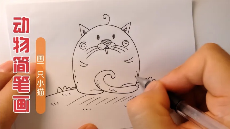 动物简笔画.画一只小猫