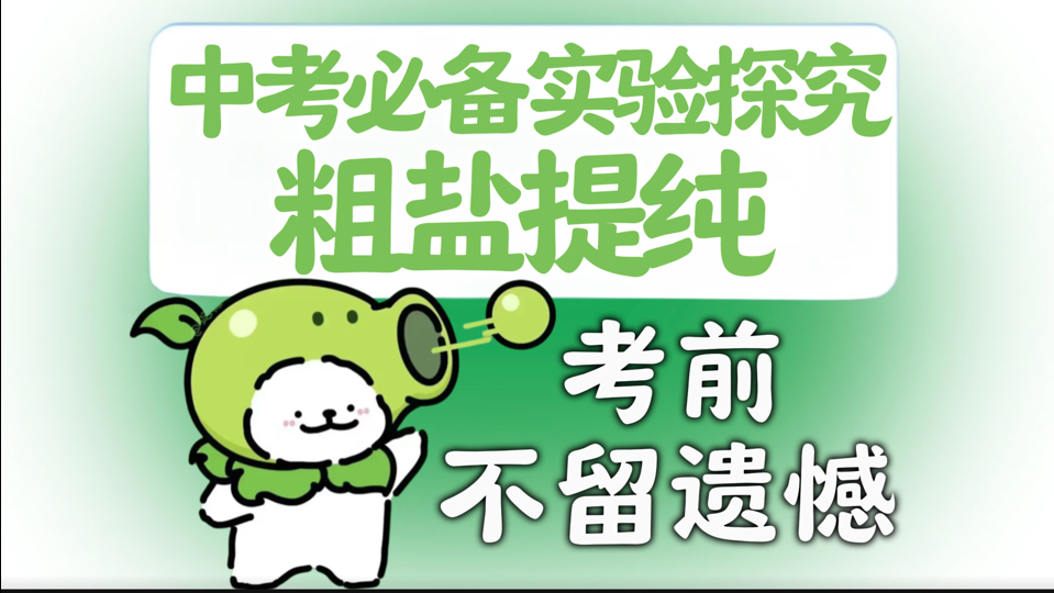 中考化学必备之【粗盐提纯实验探究考点大总结】