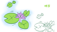 简笔画大全,睡莲(一)