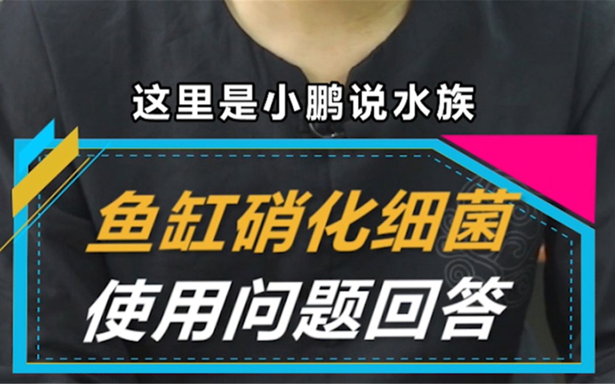 水族小知识,鱼缸硝化细菌使用问题回答,你要的答案在这里!
