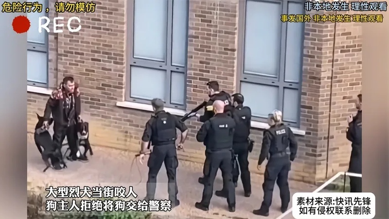 大型烈犬咬伤人 狗主人拒绝将狗交给警察 两条狗当场被击毙