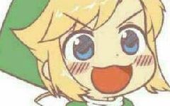 【塞尔达传说】~神庙速通~过门之人