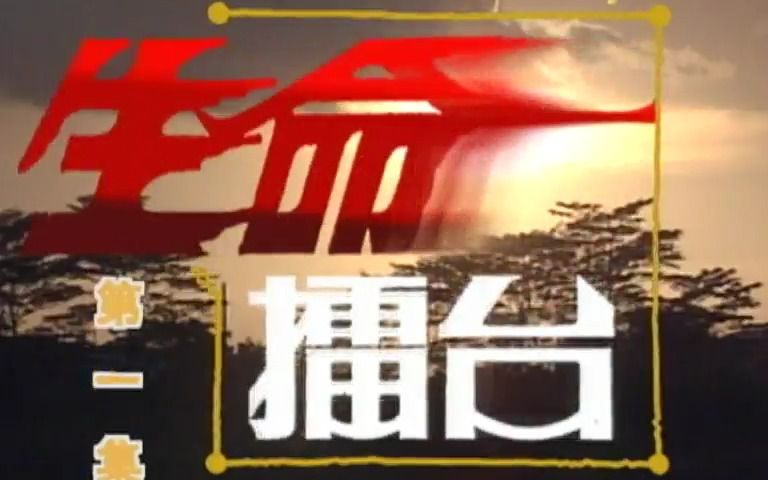 生命擂台 1994 新加坡电视剧 全集资源si信 #500部国语新加坡剧 大全...