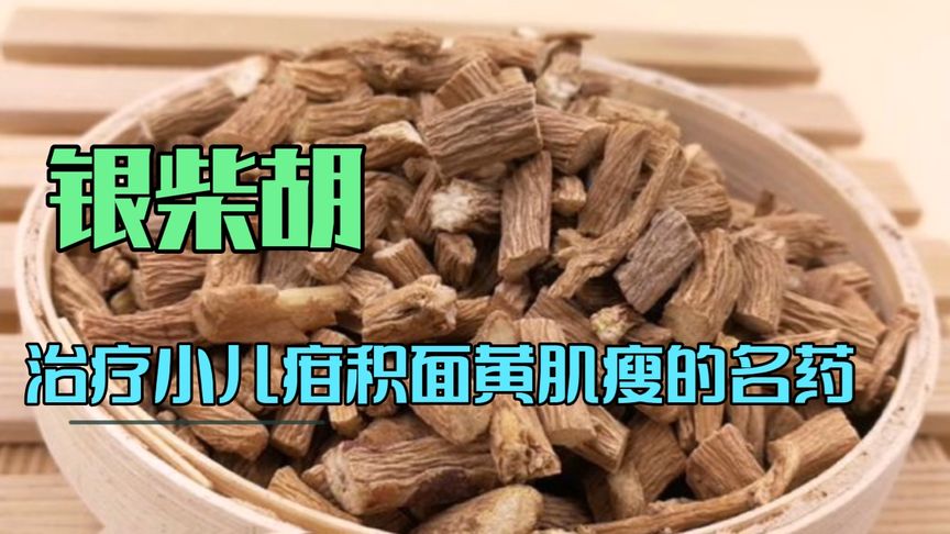 银柴胡和柴胡一字之差,作用大不相同,一起来看看它们有什么区别