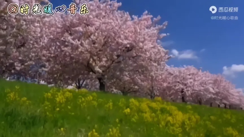 电吹管演奏:我们的生活充满阳光
