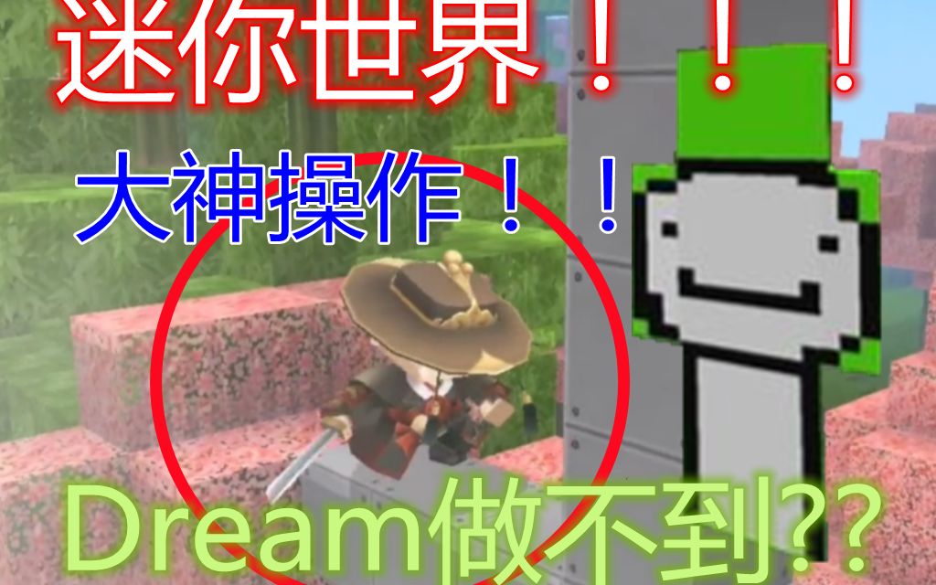 Dream第一次玩迷你世界