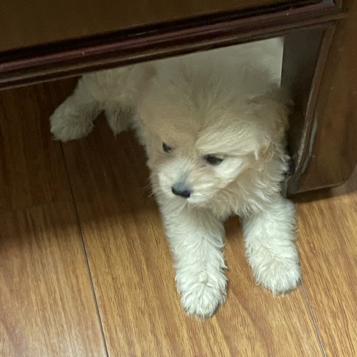 某条世界线 