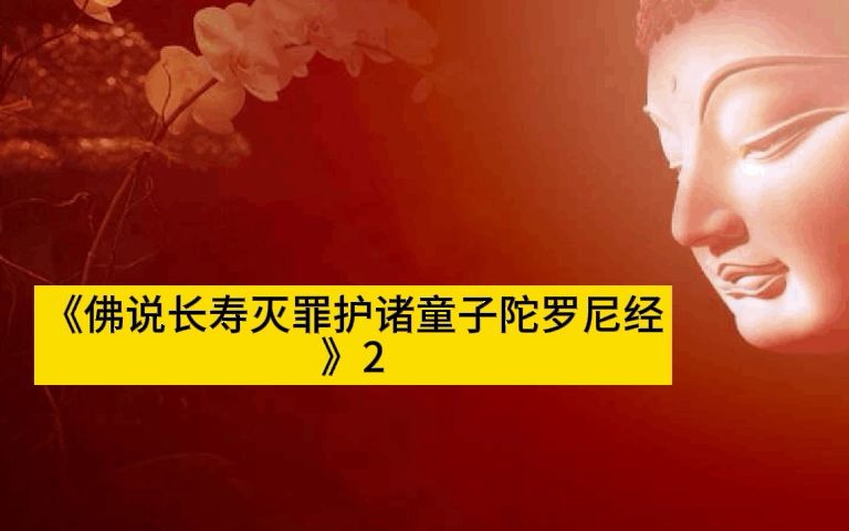 长寿经《佛说长寿灭罪护诸童子陀罗尼经》2