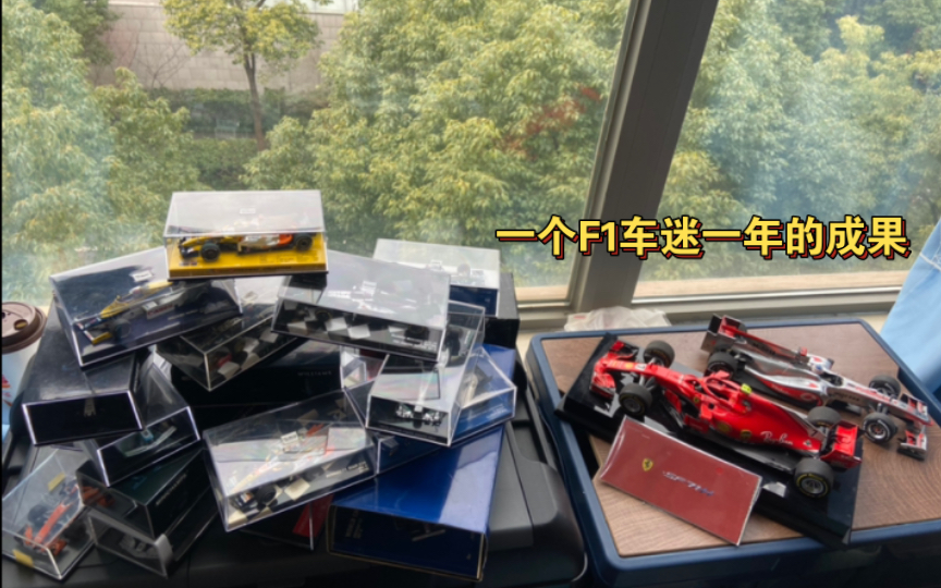 【F1模型】一年的总收藏