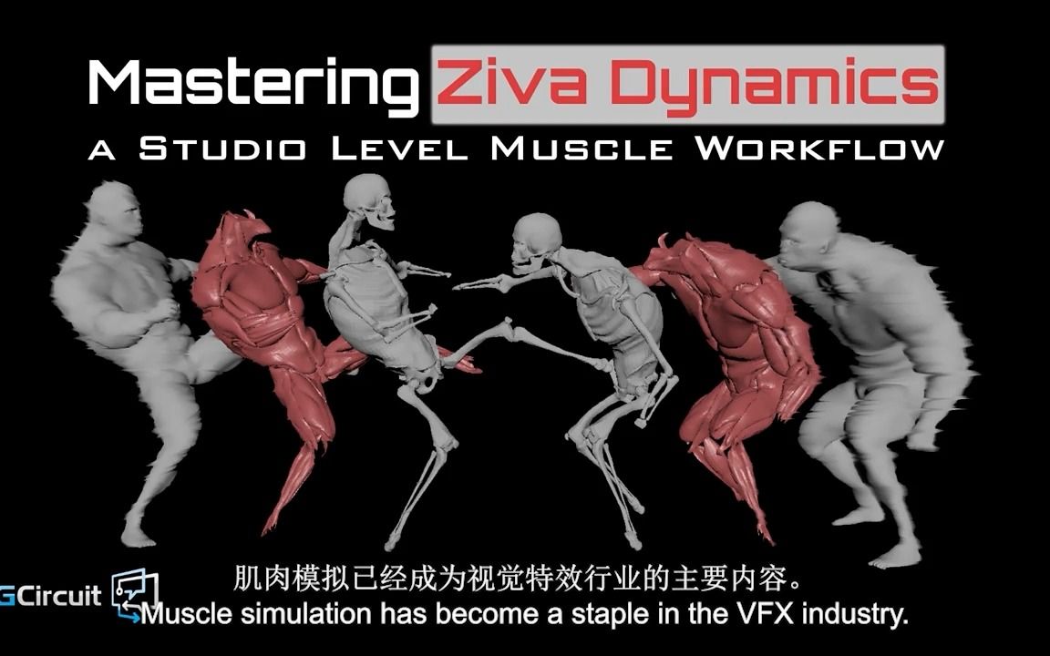 上车!MAYA 肌肉绑定系统掌握Ziva动力学(全网最准机翻)_无加密