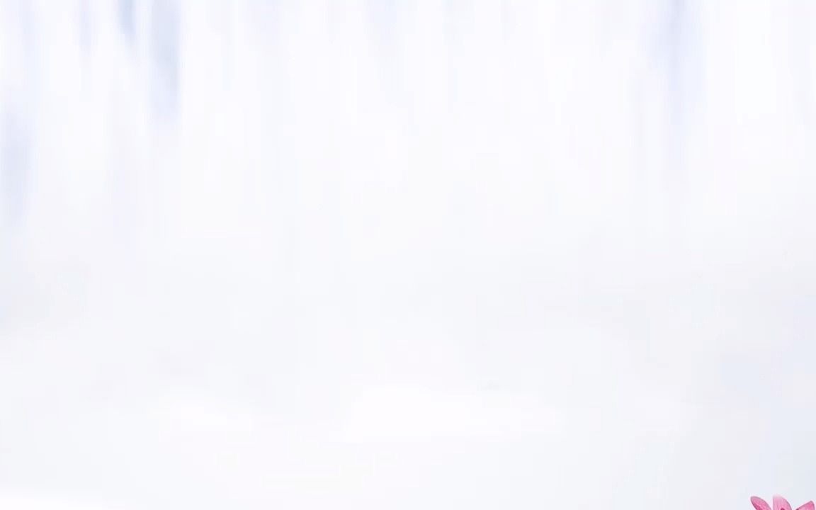 诚实守信讲课视频