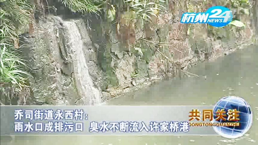雨水口为何成了“排污口”?