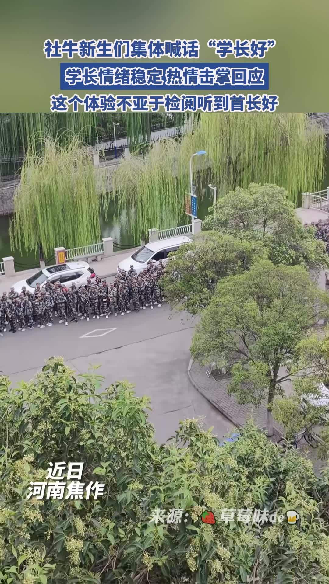 社牛新生们集体喊话"学长好",学长情绪稳定,热情击掌回应