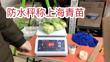 防水秤称上海青苗,{电子计重秤 BPA121}