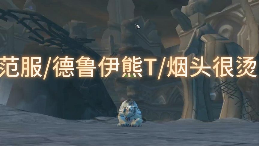 魔兽世界WOW WLK熊T单刷无头