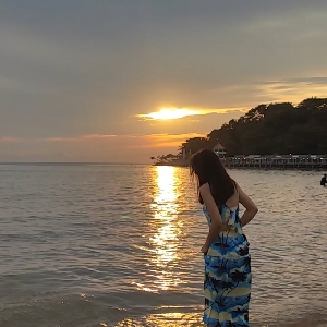 绵羊绵羊不吃草 