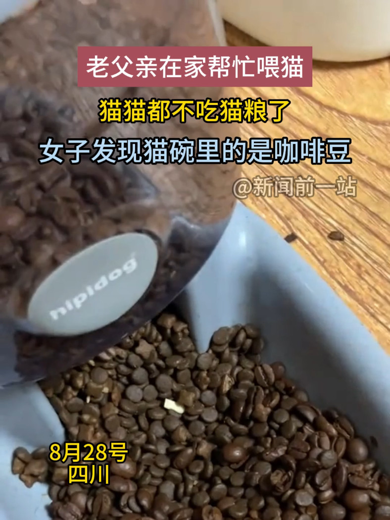老父亲帮忙喂猫,把咖啡豆当成猫粮了