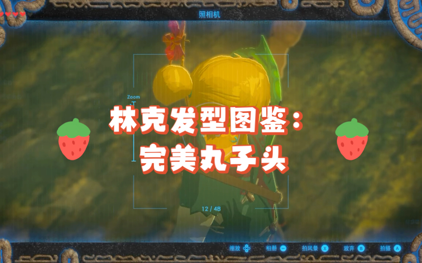 【塞尔达】林克发型图鉴:完美丸子头_哔哩哔哩bilibili_塞尔达传说