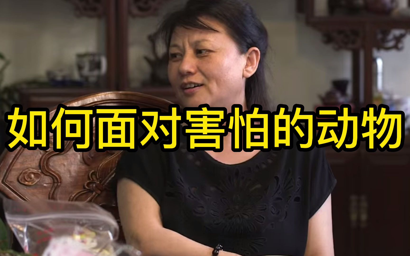 如何面对害怕的动物