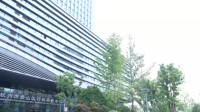 文明交通 安全出行