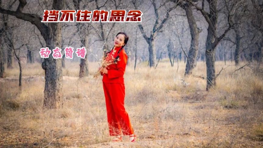 《挡不住的思念》 动态简谱