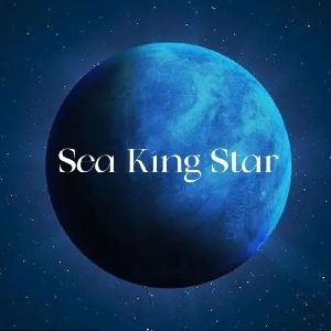 SKS海王星2 