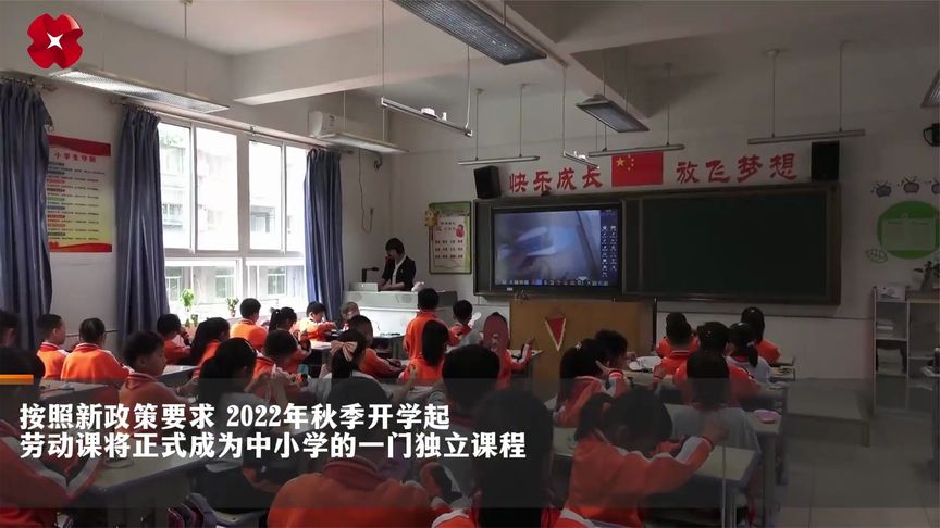 小学增设劳动课 争做生活小能手