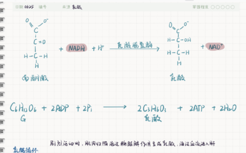 自用复盘:乳酸和乙醇的生成