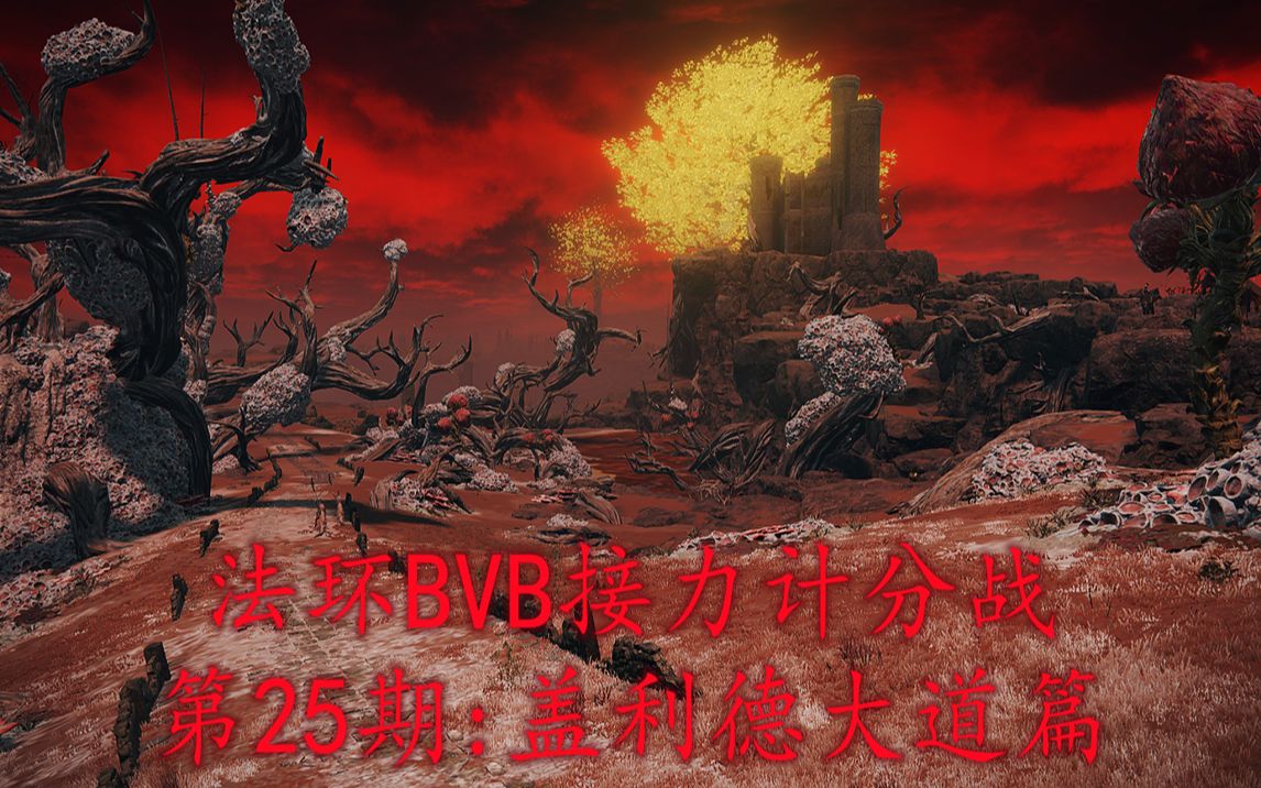 法环交界地BVB接力计分战 第25期 黑夜族人败仪杖,弑神刀刃指无上