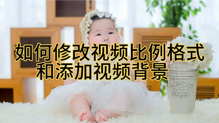 一分钟教你学会如何修改视频比例格式和添加视频背景,