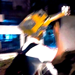墨笙鸽 