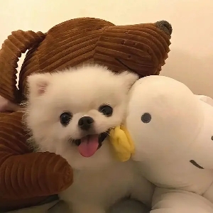 纯子博物馆 