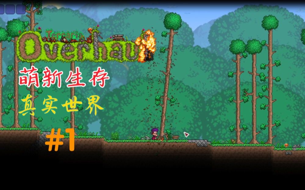 泰拉瑞亚overhaul模组生存,感受真实世界