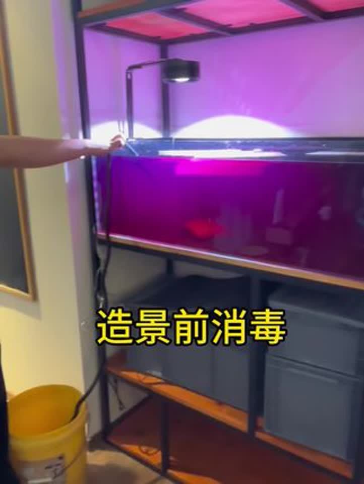 制作溪流缸教程,你们觉得效果咋样?#设计 #苏州设计工作室 #苏州装修...